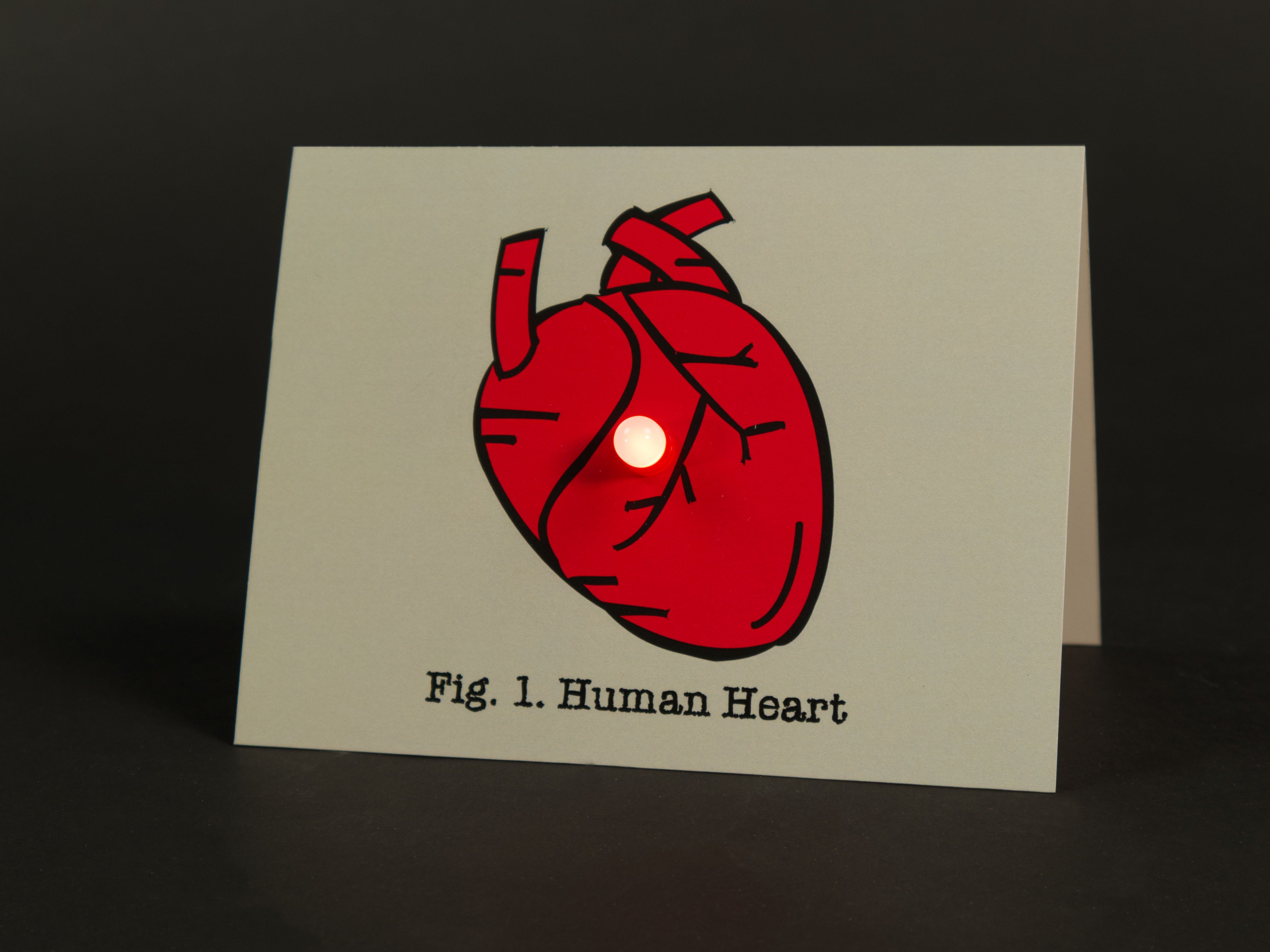 Human Heart Card