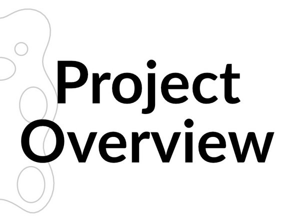 Project Overview - Bear Lab