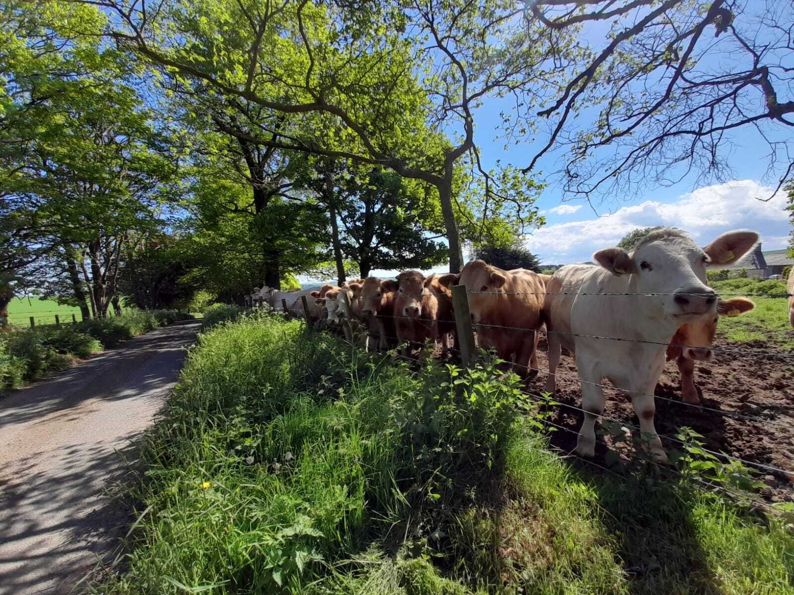 SPECC - ScotEID Library