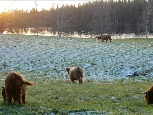 ScotMoves Admin - ScotEID Library