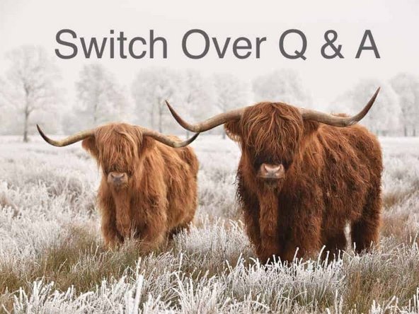 Switch Over to ScotEID - Interim Q and A - Internal Use - ScotEID Library