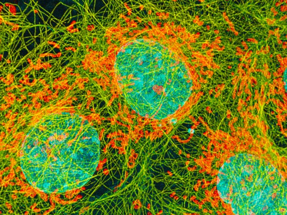 Light Microscopy - ZMB UZH